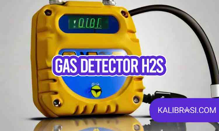 Penjelasan Gas Detector H2S, Fungsi Dan Jenisnya