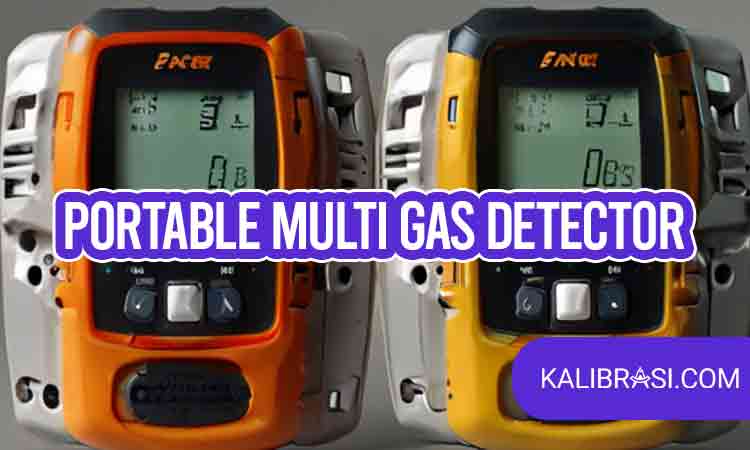 Portable Multi Gas Detector: Jenis Deteksi Gas Dan Kisaran Harganya