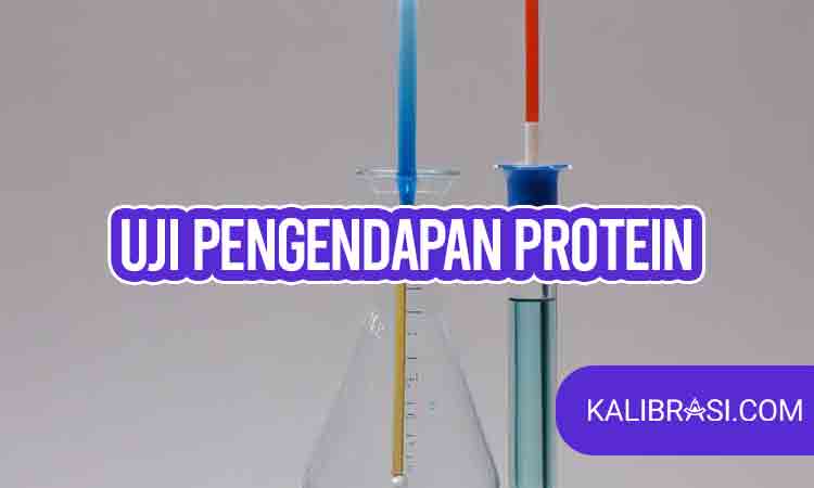 Prinsip Dasar Uji Pengendapan Protein Dan Metode Yang Digunakan