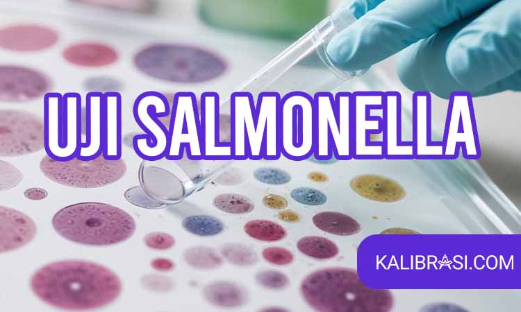 Uji Salmonella, Cegah Bakteri Jahat Pada Bahan Makanan