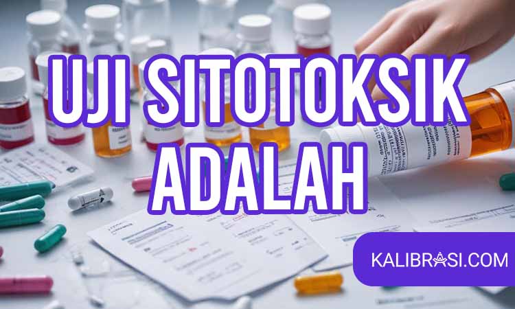Pengertian Uji Sitotoksik Dan Keuntungan Hingga Jenis Ujinya Pengertian Uji Sitotoksik Dan Keuntungan Hingga Jenis Ujinya