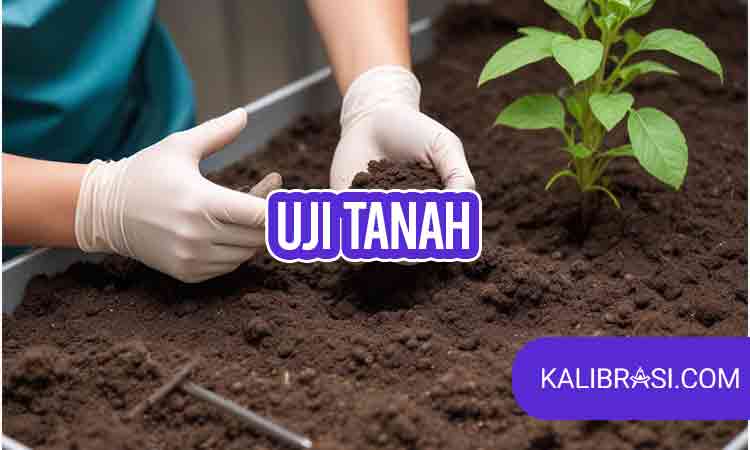 Memahami Peran Penting Uji Tanah, Interpretasi Hasil Uji Dan Jenis ...